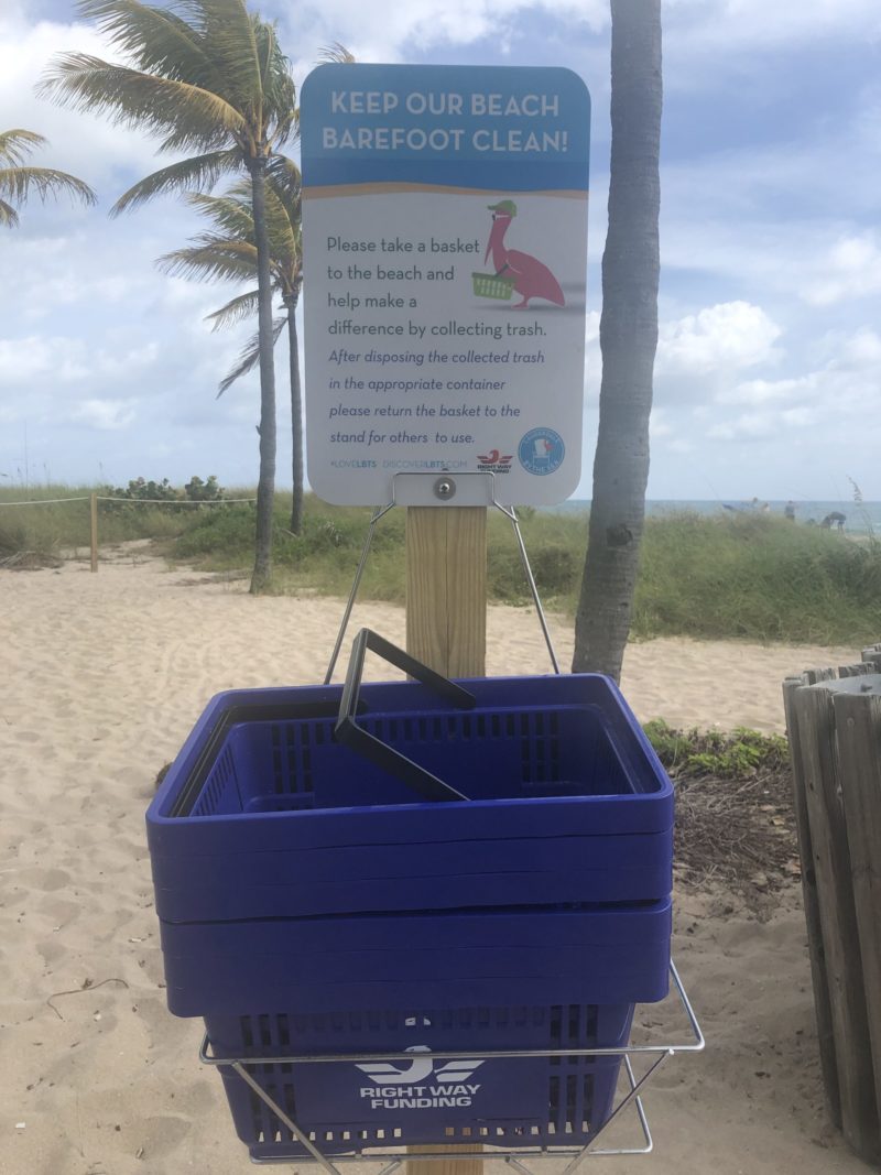 How to Help Save Sea Turtles: 16 Do's and Don'ts - OceanWide Explorers