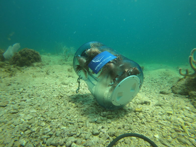 The Gear You Need to Hunt Lionfish - OceanWide Explorers