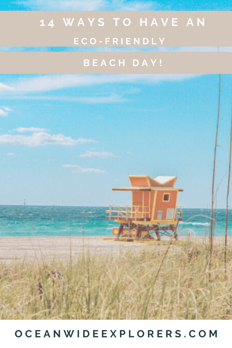 14 Ways to be Eco-friendly at the Beach - OceanWide Explorers
