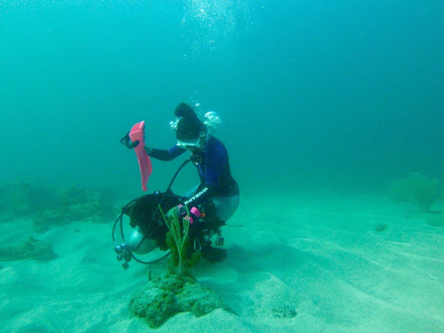 BWRAF: What it Means and How to Use it - OceanWide Explorers
