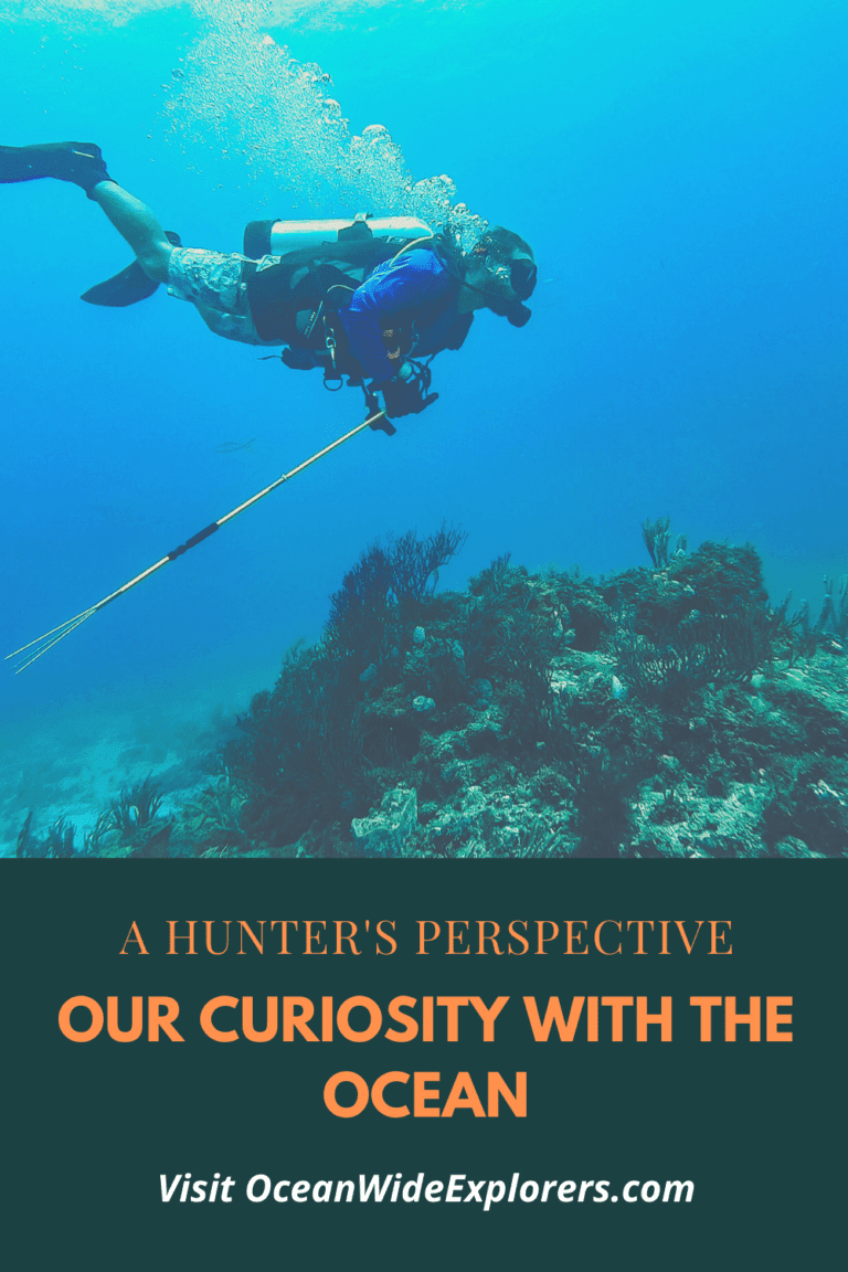Our Curiosity With the Ocean: a Hunter's Perspective