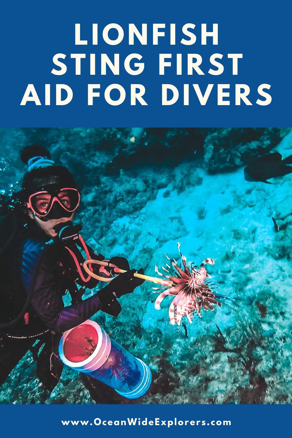 Lionfish Sting First Aid for Divers - OceanWide Explorers