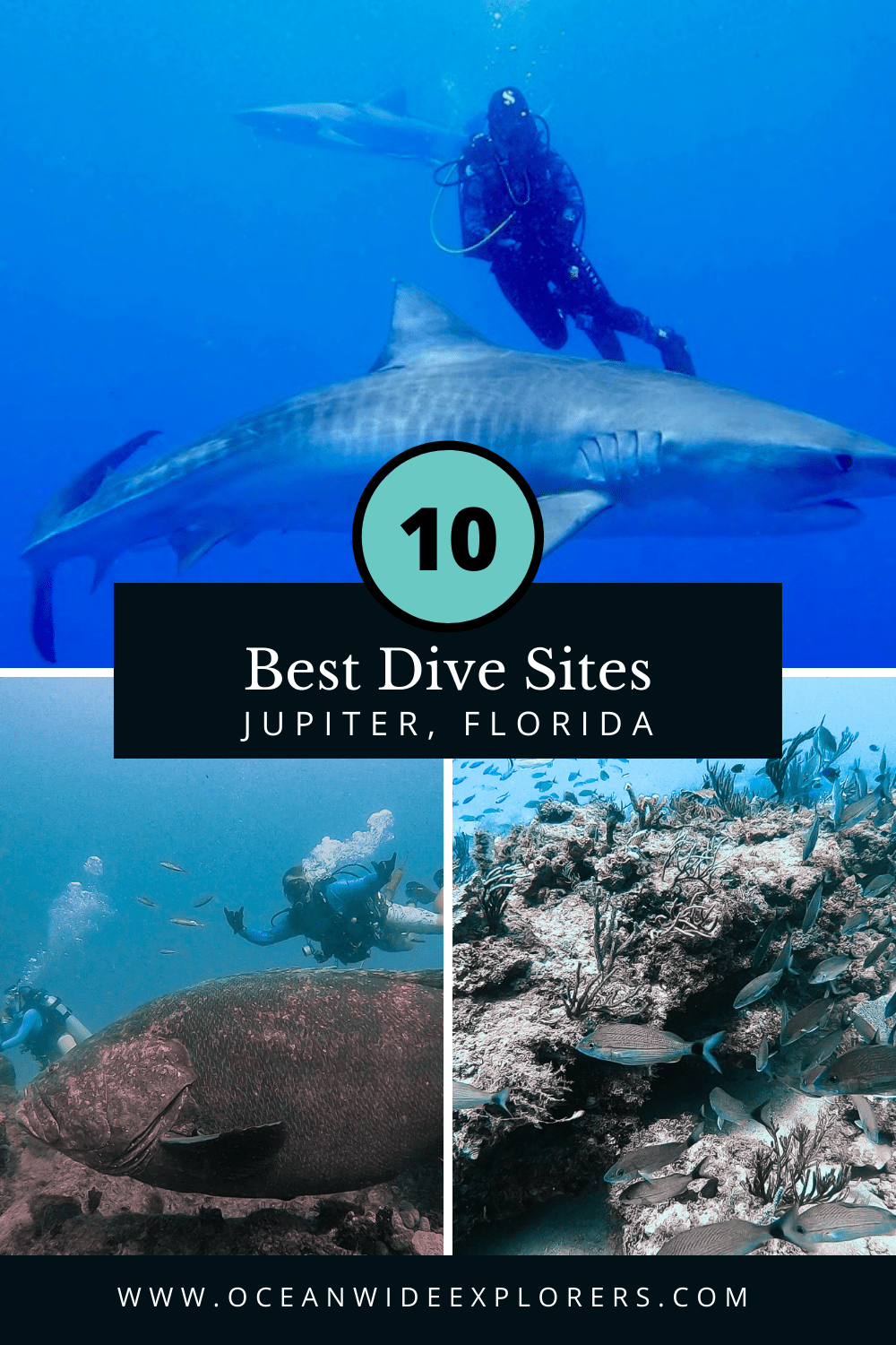 10 Best Dive Sites in Jupiter, Florida - OceanWide Explorers